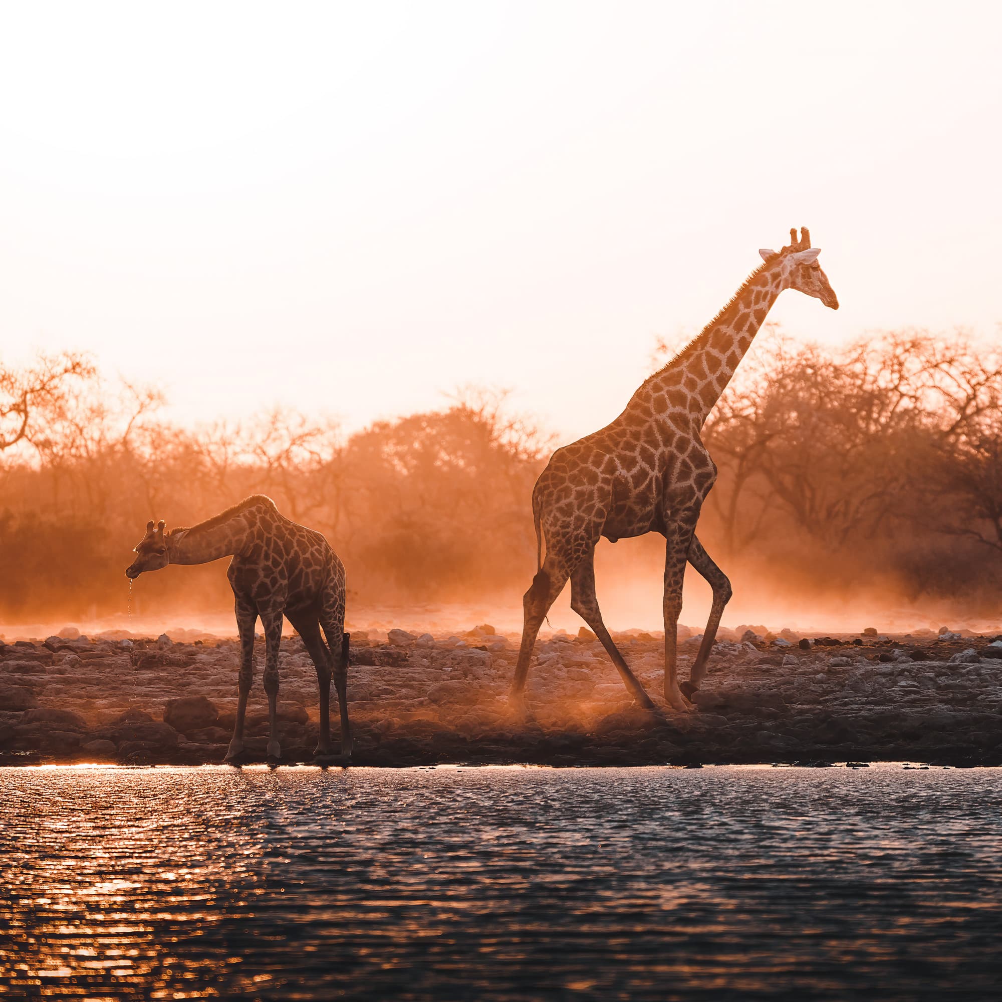 Sunlit Mother & Child at Watering Hole - Give to GCF